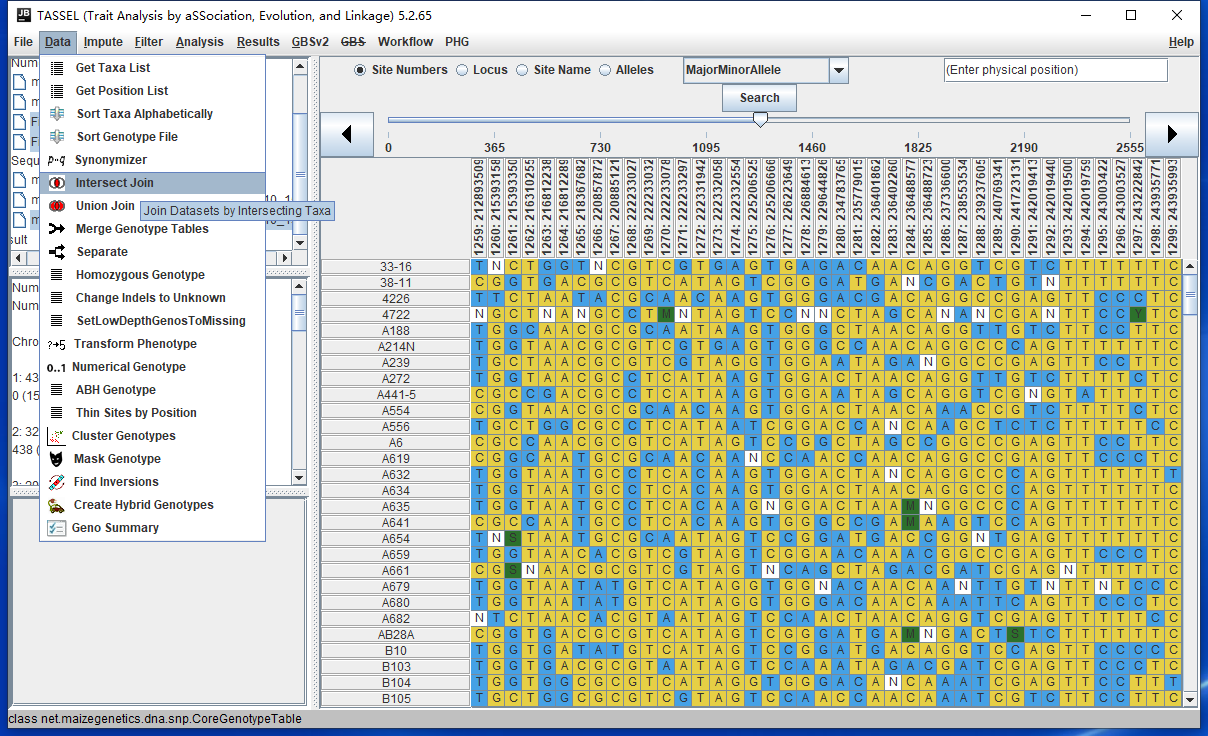 GWAS全基因组关联分析：TASSEL 5.0 Windows版软件使用教程_tassel5 thinsite-CSDN博客