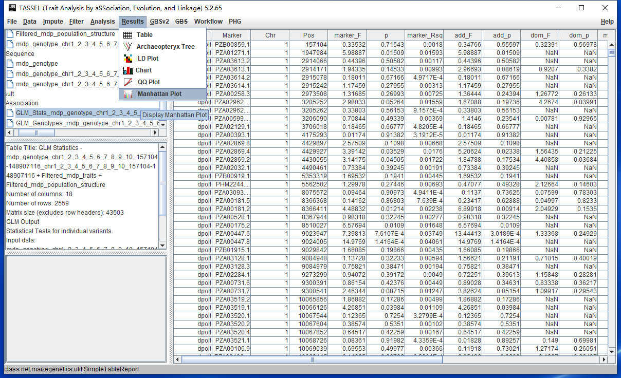 GWAS全基因组关联分析：TASSEL 5.0 Windows版软件使用教程_tassel5 thinsite-CSDN博客