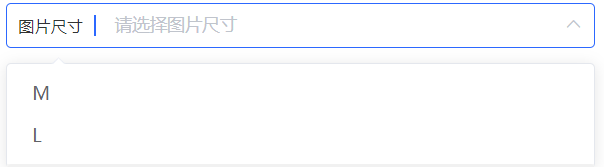 element ui中选择组件el-select prefix slot自定义模板的使用 - 代码先锋网