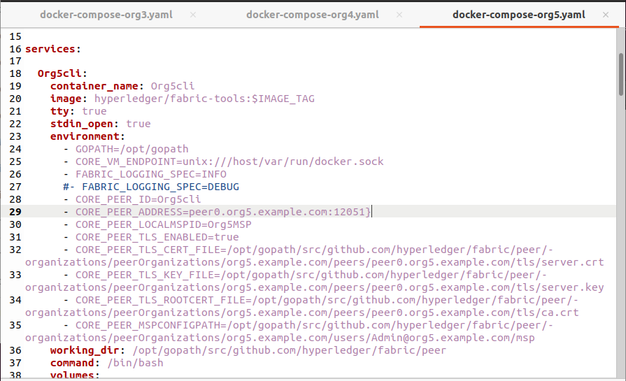 Hyperledger Fabric 问题归档 - 构建多Org和多Peer环境集群遇到的问题_utc 0001 error [main] initcmd ->无法运行peer,因为无法从 ...
