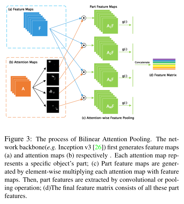 小赵带你读论文系列--See Better Before Looking Closer: WSDAN-CSDN博客