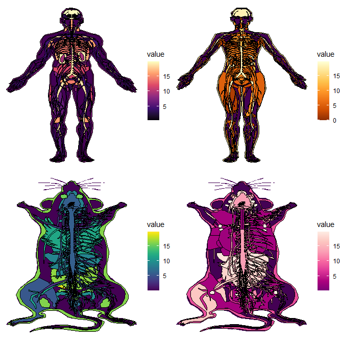 R可视化16|27种常见物种解剖图轻松绘制_qq_21478261的博客-CSDN博客