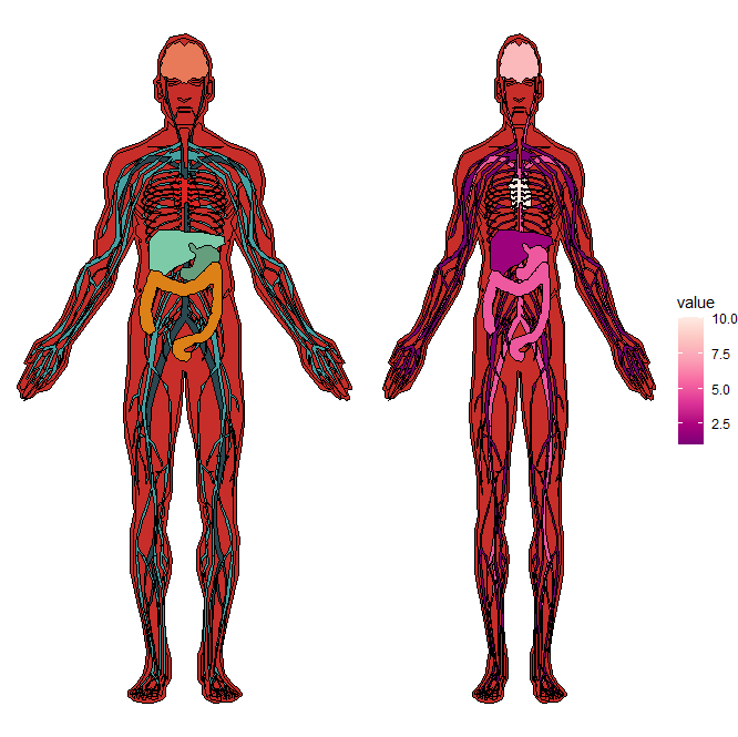 R可视化16|27种常见物种解剖图轻松绘制_qq_21478261的博客-CSDN博客