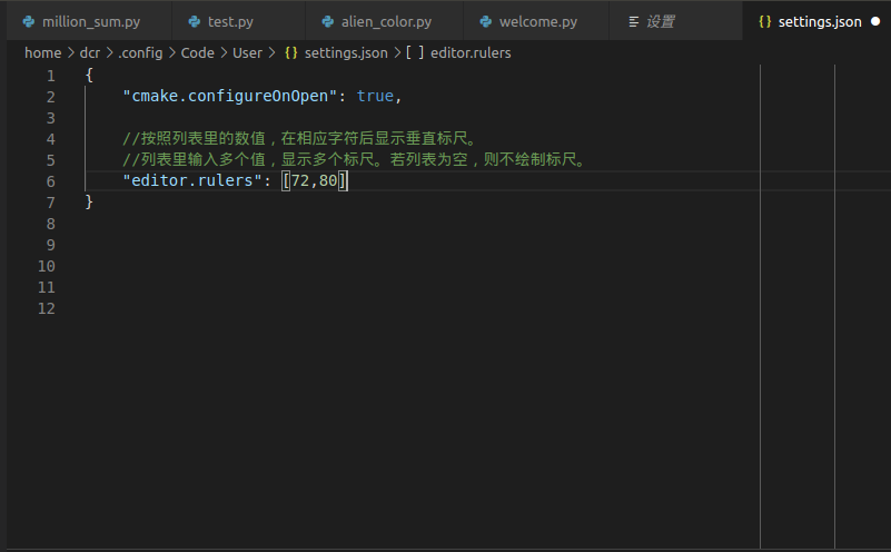 vs code设置每行代码的垂直标尺_editor.rulers-CSDN博客