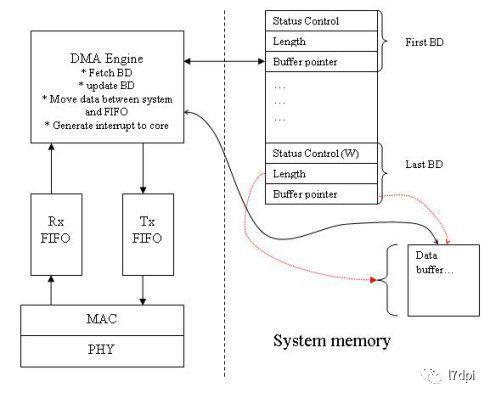 DPDK 网卡收包流程_dma描述符环形队列-CSDN博客