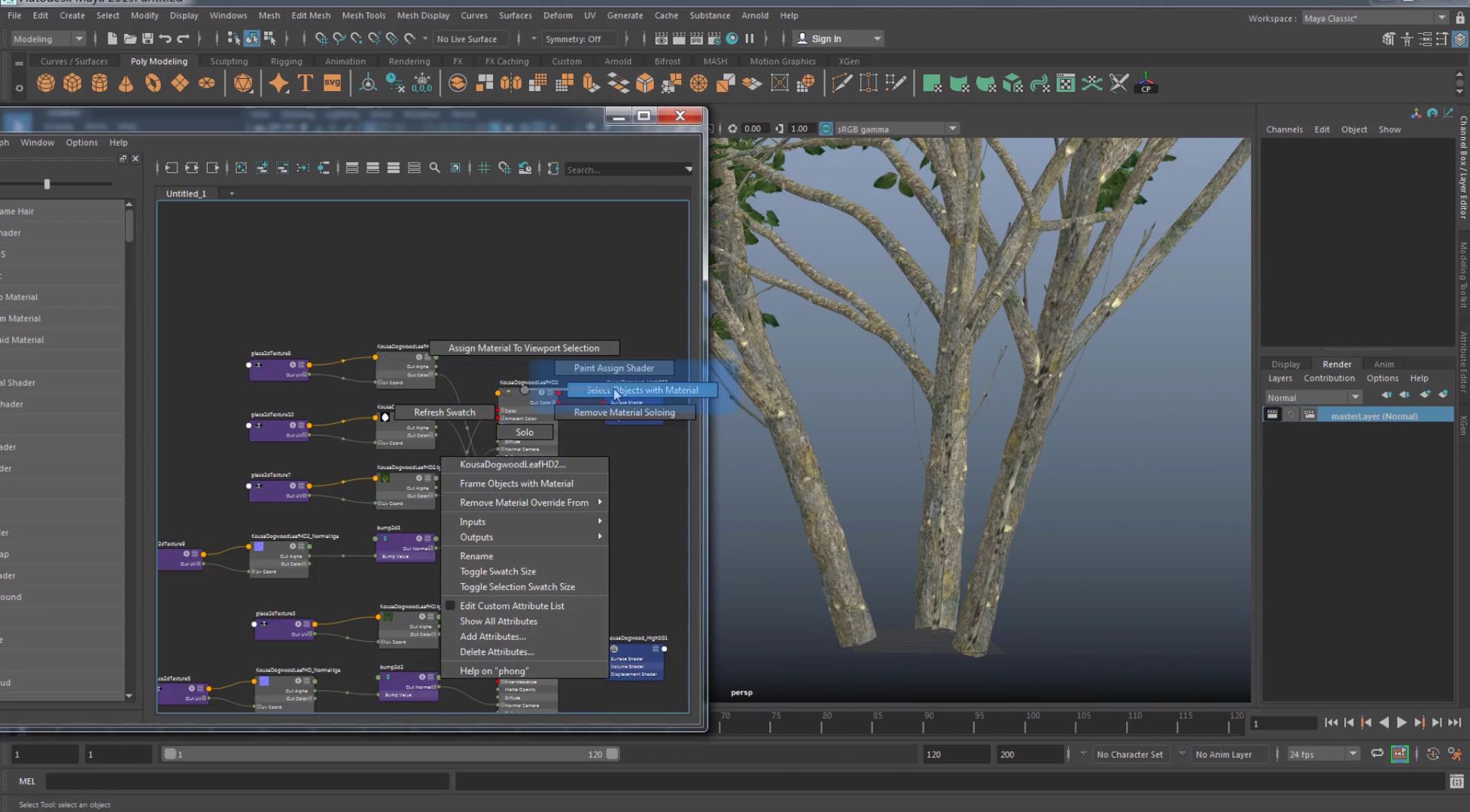 使用speedtree导出灌木植物_做植物的软件spee-CSDN博客