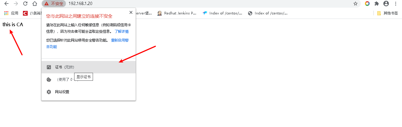 CentOS 7 CA证书服务器搭建_ca服务器 中文叫什么-CSDN博客