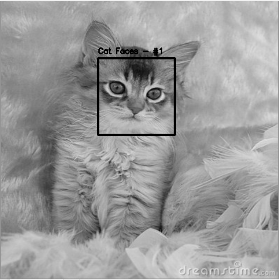 基于opencv实现人脸猫脸图像检测（python）_猫脸检测-CSDN博客