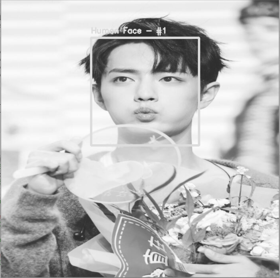 基于opencv实现人脸猫脸图像检测（python）_猫脸检测-CSDN博客