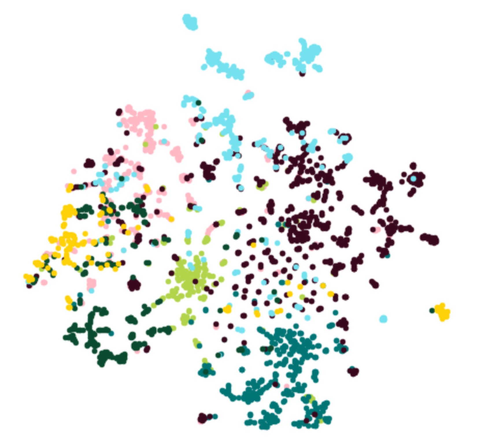 PyTorch图神经网络实践（四）Node2Vec节点分类及其可视化_node2vec可以有几种节点-CSDN博客