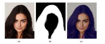 Real-time Segmentation and Facial Skin Tones Grading-实时分割和面部皮肤骨骼分级_脸部骨骼 ...