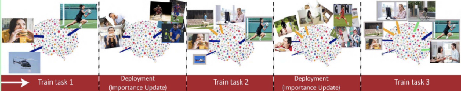 Continual Learning 经典方法：Memory Aware Synapses (MAS)-CSDN博客