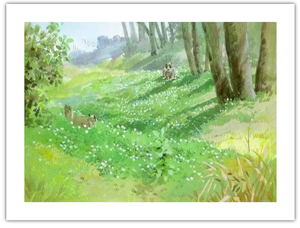 新手入门：canvas的drawImage()在画布上绘制图片详解_context.drawimage-CSDN博客