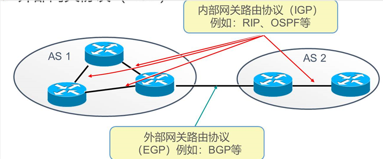 RIP、OSPF_rip和ospf的工作过程-CSDN博客