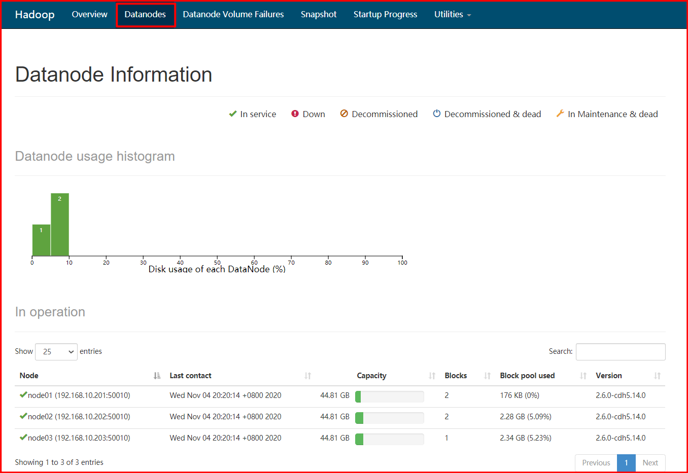 HDFS-Web界面介绍（50070）_disk usage of each datanode-CSDN博客