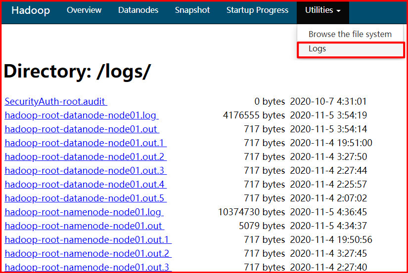 HDFS-Web界面介绍（50070）_disk usage of each datanode-CSDN博客
