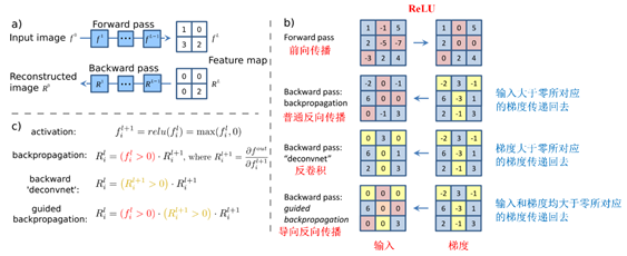CNN模型解释性（可视化）及实现 ---- Guided-backpropagation, Deconvolution, CAM, Grad-CAM，Grad-CAM++_guided ...