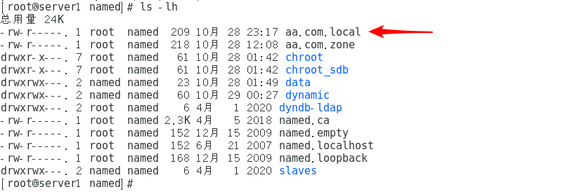Linux中利用bind实现DNS主从服务器的搭建_bind配置创建主区域-CSDN博客