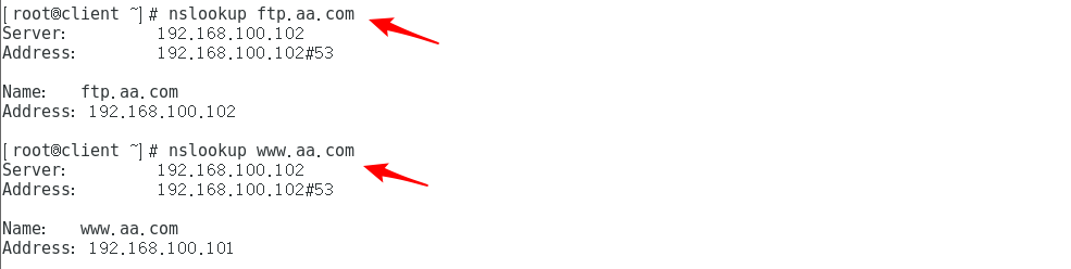 Linux中利用bind实现DNS主从服务器的搭建_bind配置创建主区域-CSDN博客