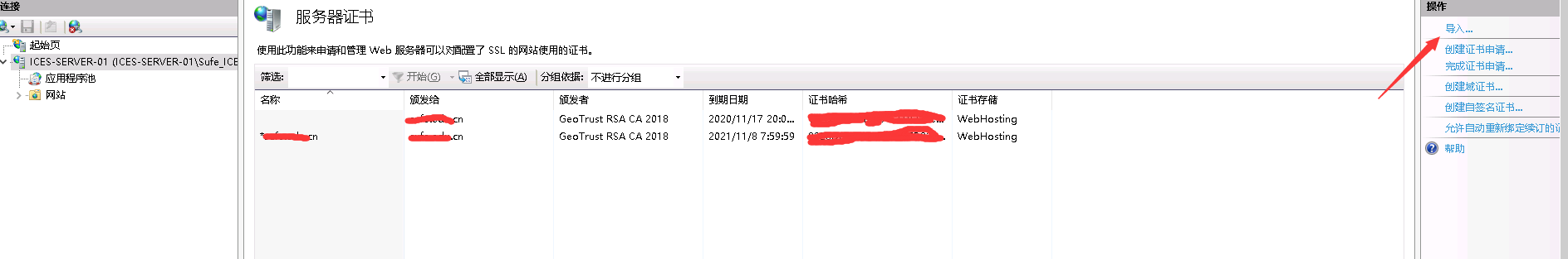 Windows Server 2016下IIS导入SSL证书，支持多域名通配符设置_iis 导入证书 web 宿主-CSDN博客