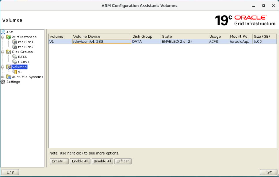 Oracle 19C ADVM与ACFS的使用_oracle 19c acfs代理实例-CSDN博客