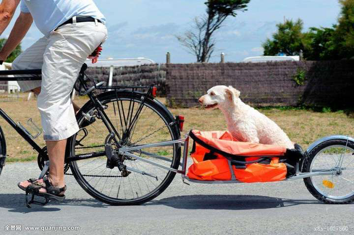 xyolo？几行Python代码轻松完成yolo3目标检测-CSDN博客