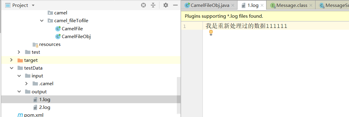 Camel-学习笔记(二)关于camel-file的使用案例_camel file终端怎么使用-CSDN博客