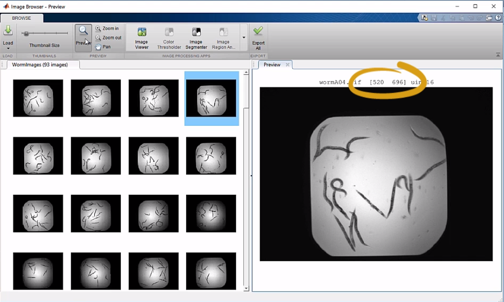 看完这篇你就懂了深度学习的具体流程和代码该怎么写了！(Deep Learning Onramp)_停工养老的博客-CSDN博客_如何写深度学习代码