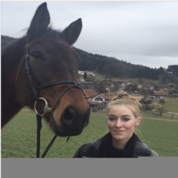 OSError: image file is truncated解决思路及方案。-CSDN博客