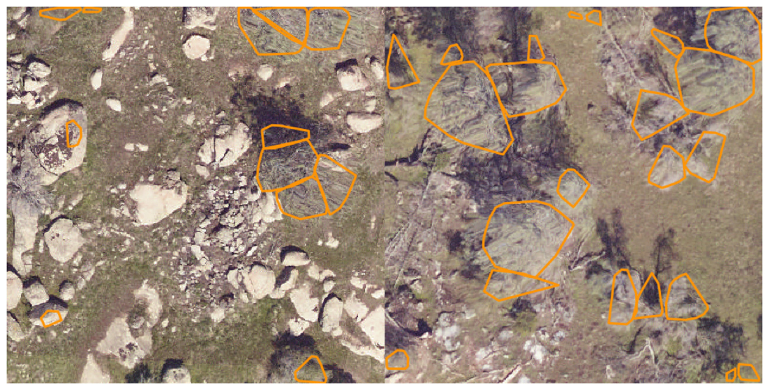 【论文阅读】Individual Tree-Crown Detection in RGB Imagery Using Semi ...