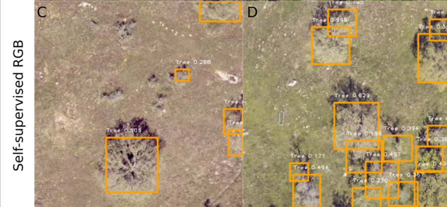 【论文阅读】Individual Tree-Crown Detection in RGB Imagery Using Semi ...