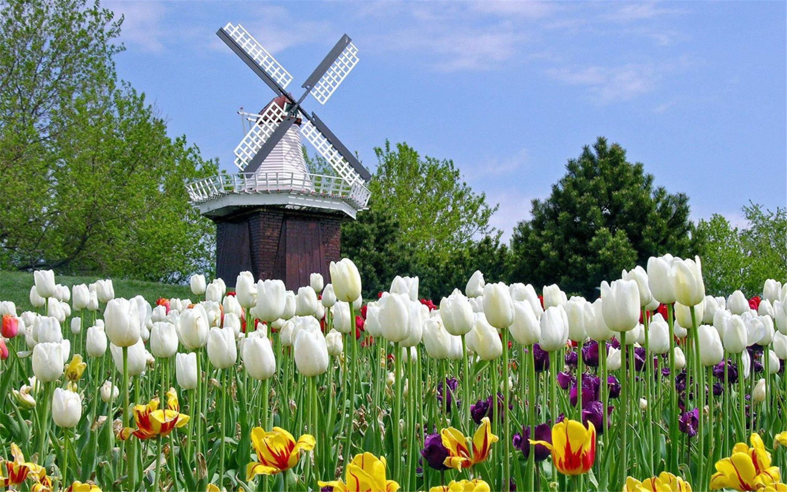 UVM——RAL模型运用之四（使用ralgen生成regmodel方法、部分枚举变量"_e"含义） - 灰信网（软件开发博客聚合）