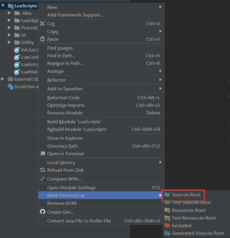 IDEA 2020 配置Emmylua插件仍无法调试Lua代码问题-CSDN博客