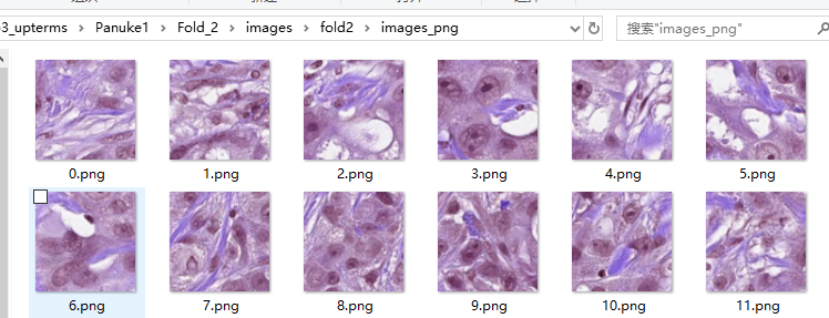 读取npy格式的文件_npy读出来有负数-CSDN博客