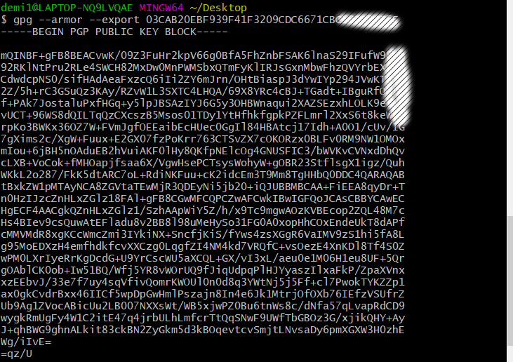 git 轻松上手（五）github 加个 GPG 签名验证_github gpg签名-CSDN博客