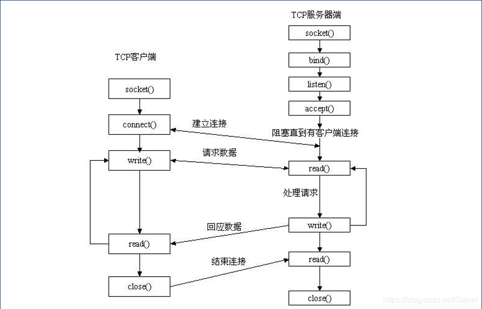 Sokcet的初步理解与使用 Csdn博客