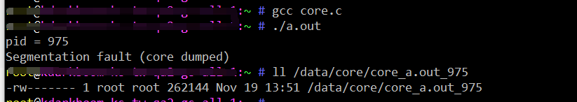 Linux core dump文件设置以及查看_检查应用是否生成core文件和dmp文件-CSDN博客