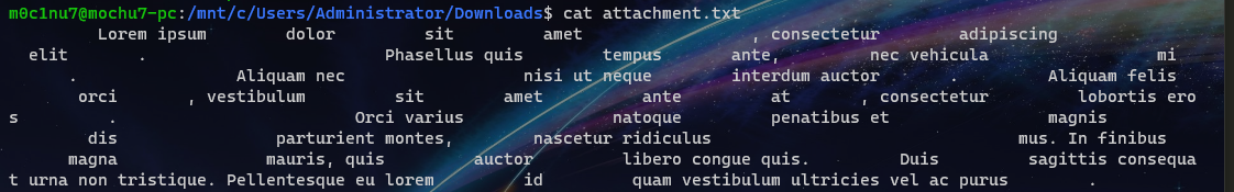 BUUCTF：[UTCTF2020]zero-CSDN博客