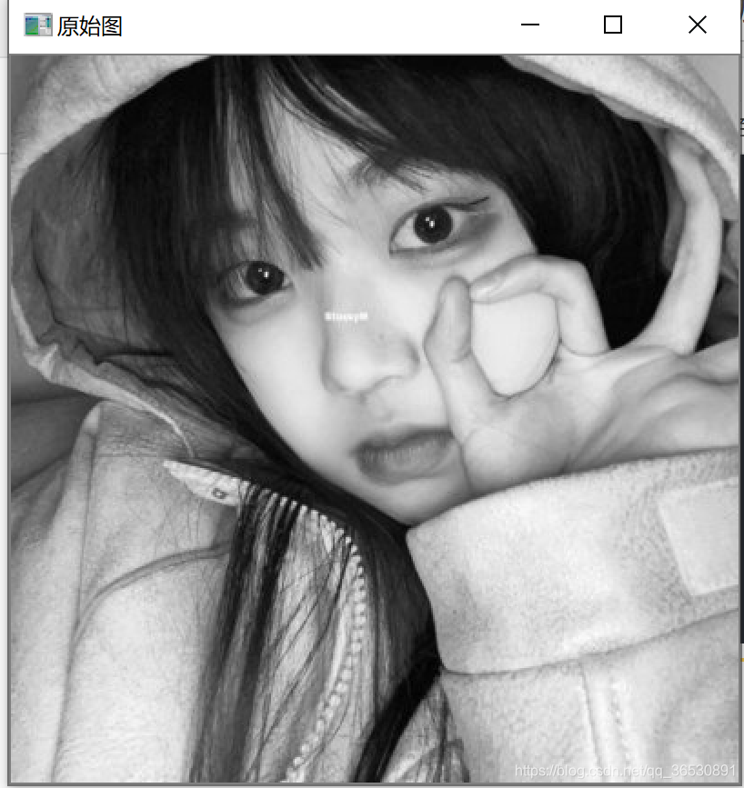 Opencv 从零开始 5 Python 将图片加密解密,图片加隐藏水印,提取水印。python 水印隐写进图片再解码 Csdn博客