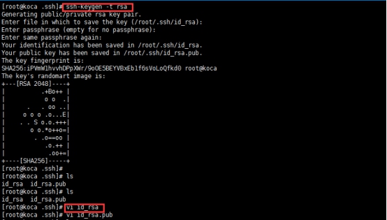 Linux中生产RSA密钥的方法_linux generate rsa key-CSDN博客
