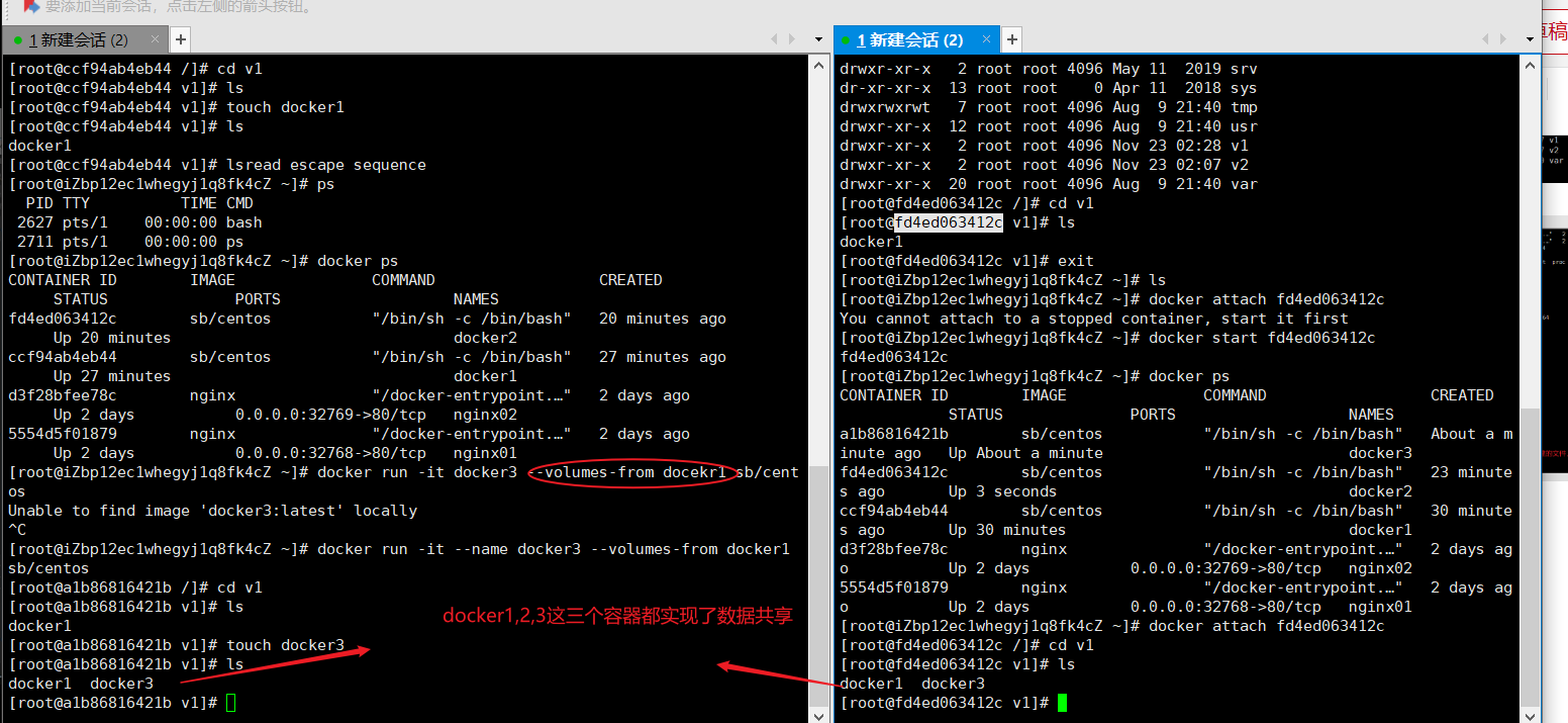Docker数据卷容器 实现两个或多个容器之间的数据同步docker 两个mysql容器挂载同一个volume数据是否互通 Csdn博客 