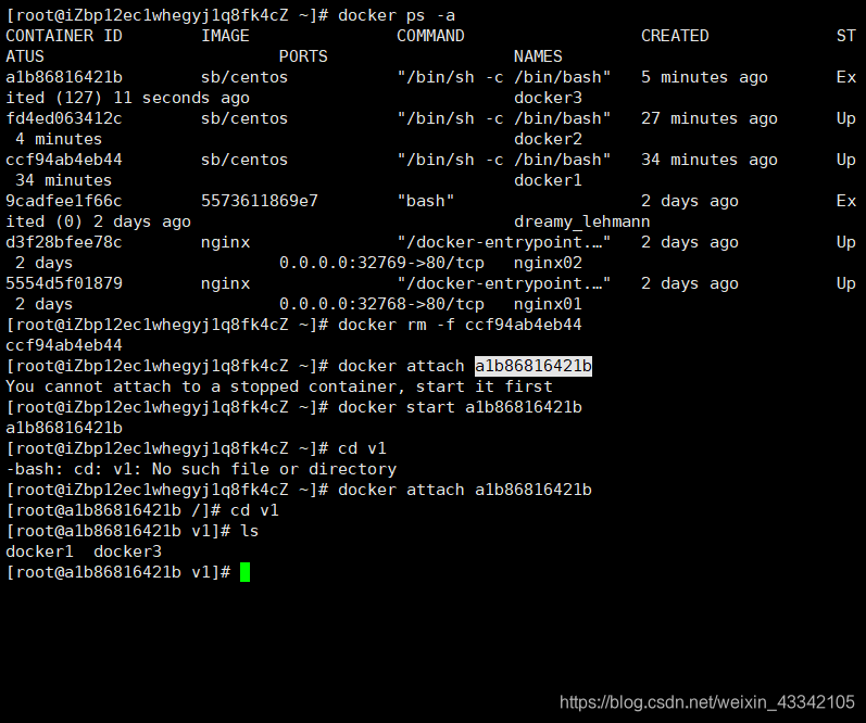 Docker数据卷容器 实现两个或多个容器之间的数据同步docker 两个mysql容器挂载同一个volume数据是否互通 Csdn博客 3862