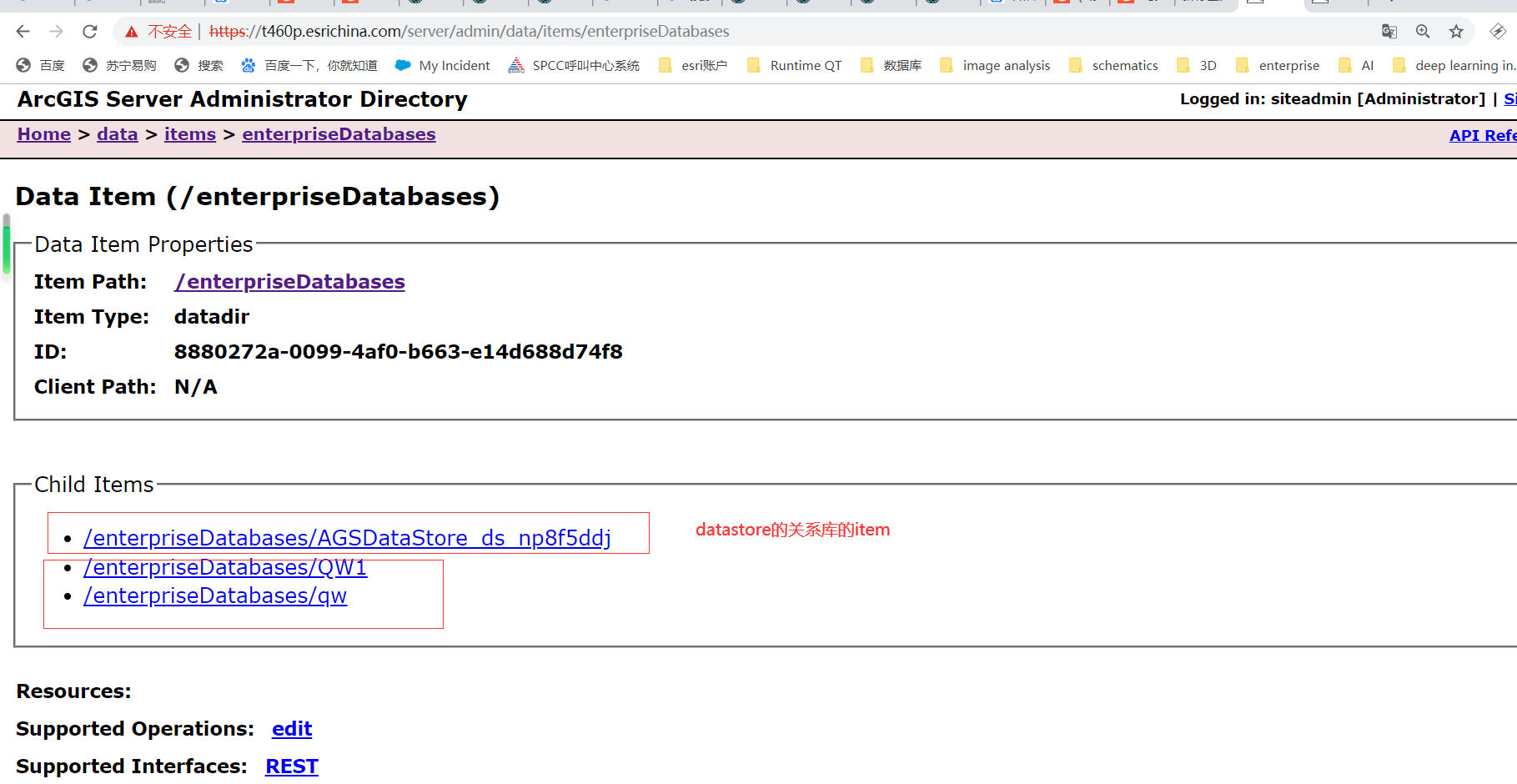 ArcGIS Data Store简要介绍---以及ArcGIS Data Store与ArcGIS server取消联合和重新配置 ...