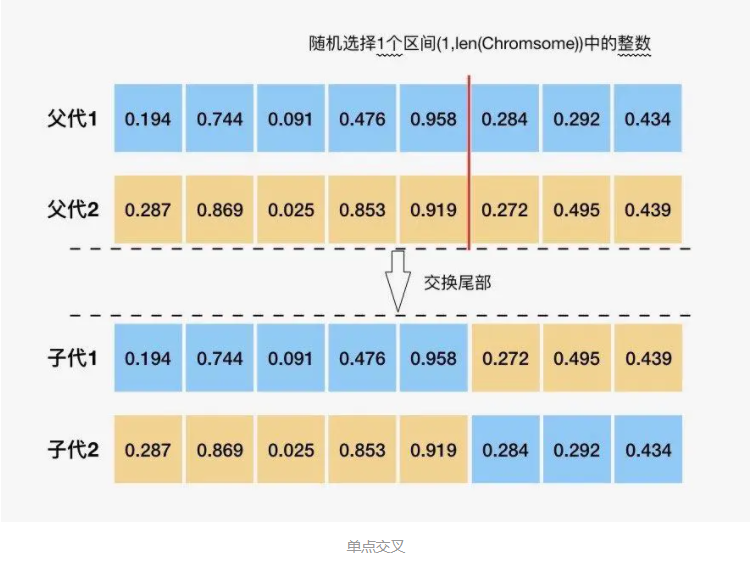 基于DEAP库的python进化算法-2.进化算法各元素的DEAP实现-CSDN博客
