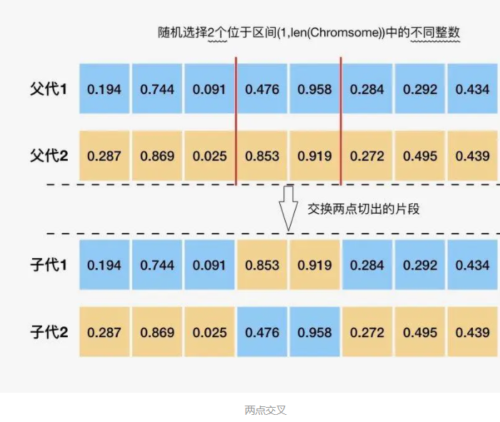 基于DEAP库的python进化算法-2.进化算法各元素的DEAP实现-CSDN博客