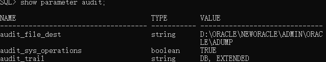 oracle审计功能的使用_show parameter audit-CSDN博客