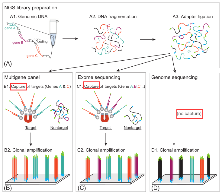 Omics精进01|临床WGS/WES/Gene Panel/Single gene异同_qq_21478261的博客-CSDN博客