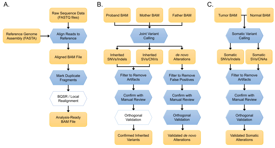 Omics精进01|临床WGS/WES/Gene Panel/Single gene异同_qq_21478261的博客-CSDN博客