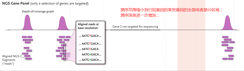 Omics精进01|临床WGS/WES/Gene Panel/Single gene异同_qq_21478261的博客-CSDN博客